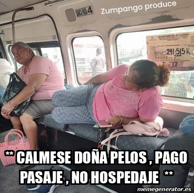 Meme Personalizado - ** CALMESE DOÑA PELOS , PAGO PASAJE , NO HOSPEDAJE ...