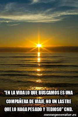 Meme Personalizado - "En la vida lo que buscamos es una compañera de ...