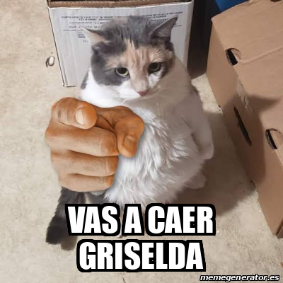 Meme Personalizado - Vas a caer Griselda - 33427748