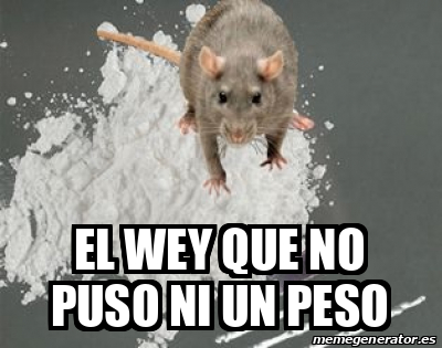 Meme Personalizado - el wey que no puso ni un peso - 33431999