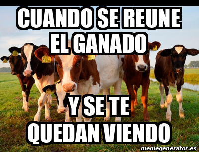 Meme Personalizado - cuando se reune el ganado y se te quedan viendo ...
