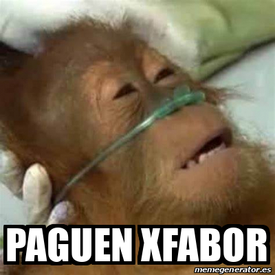 Meme Personalizado - paguen xfabor - 33435800