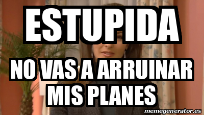 Meme Personalizado - ESTUPIDA No vas a arruinar mis planes - 33436370