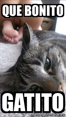 Meme Personalizado - Que bonito Gatito - 33439539