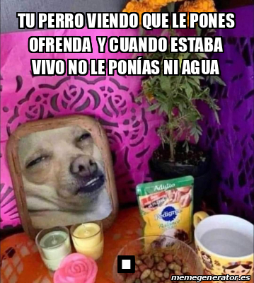 Meme Personalizado - Tu perro viendo que le pones ofrenda y cuando ...