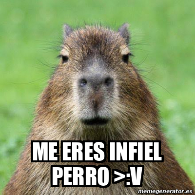 Meme Personalizado - Me eres infiel perro >:V - 33442823