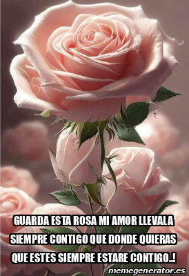 Meme Personalizado - GUARDA ESTA ROSA MI AMOR LLEVALA SIEMPRE CONTIGO ...