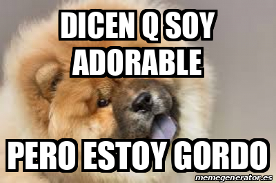 Meme Personalizado - Dicen q soy adorable Pero estoy gordo - 33452742