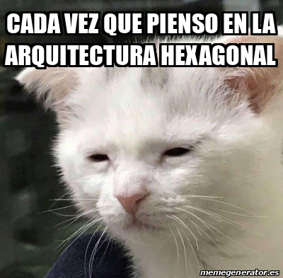 Meme Personalizado - CADA Vez que pienso en la arquitectura hexagonal ...