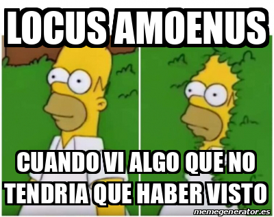 Meme Personalizado - LOCUS AMOENUS Cuando vi algo que no tendria que ...