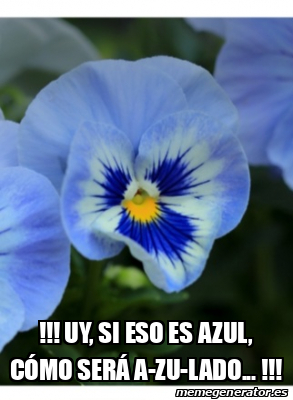 Meme Personalizado - !!! Uy, si eso es azul, cómo será a-zu-lado ...