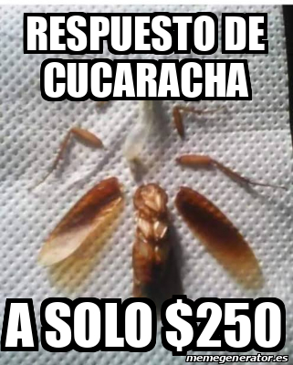 Meme Personalizado - respuesto de cucaracha a solo $250 - 33467310