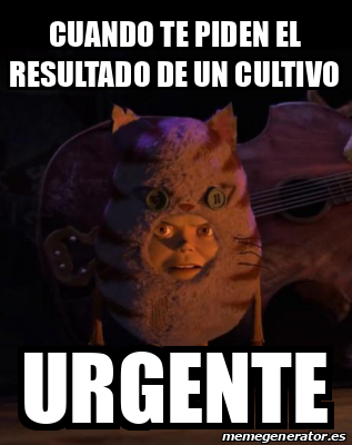 Meme Personalizado - Cuando te piden el resultado de un cultivo Urgente ...