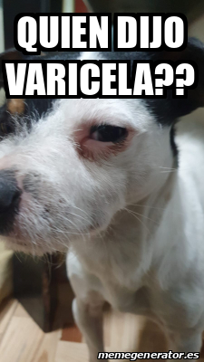 Meme Personalizado - Quien dijo varicela?? - 33473220