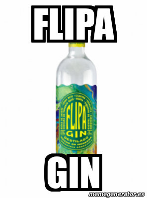 Meme Personalizado - flipa gin - 33474861