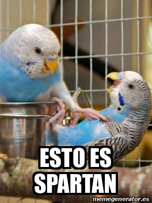 Meme Personalizado - Esto es Spartan - 33475321