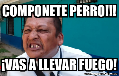 Meme Personalizado - Componete perro!!! ¡Vas a llevar fuego! - 33475477