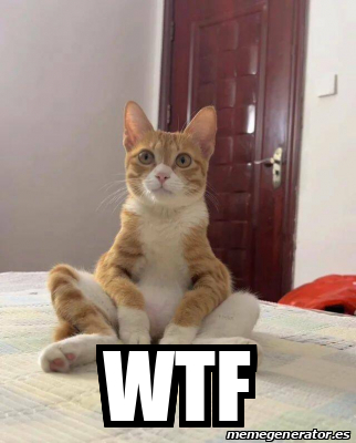Meme Personalizado - Wtf - 33476003