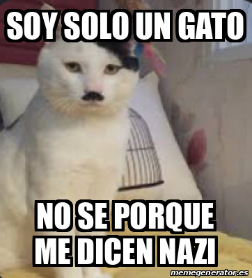Meme Personalizado - SOY SOLO UN GATO NO SE PORQUE ME DICEN NAZI - 33478539