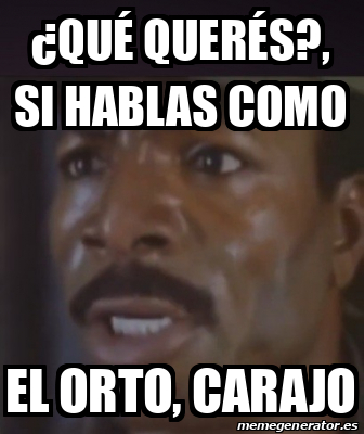 Meme Personalizado - ¿QUÉ QUERÉS?, SI HABLAS COMO EL ORTO, CARAJO ...
