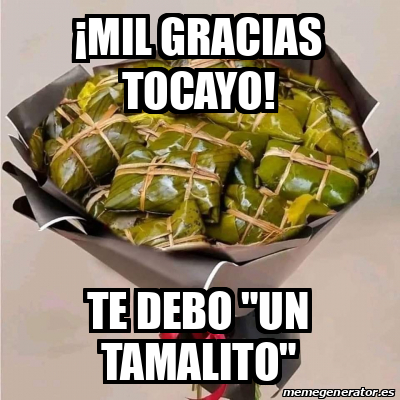 Meme Personalizado - ¡MIL GRACIAS TOCAYO! TE DEBO "UN TAMALITO" - 33484996