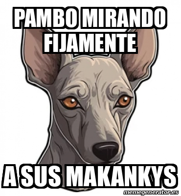 Meme Personalizado - pambo mirando fijamente a sus makankys - 33487856