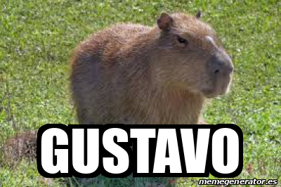 Meme Personalizado - gustavo - 33488021