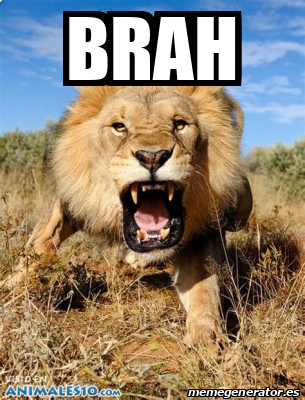 Meme Personalizado - braH - 33491366