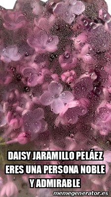 Meme Personalizado - Daisy Jaramillo Peláez eres una persona noble y ...