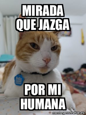Meme Personalizado - MIRADA QUE JAZGA POR MI HUMANA - 33492869