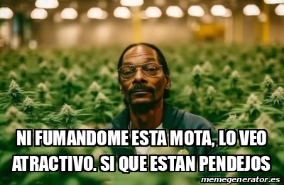 Meme Personalizado - Ni fumandome esta mota, lo veo atractivo. si que ...