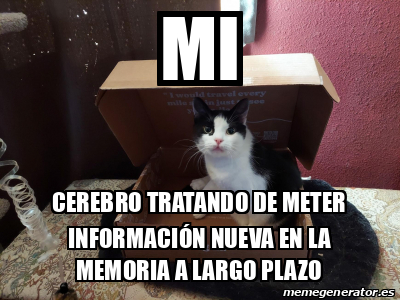 Meme Personalizado - mi cerebro tratando de meter información nueva en ...