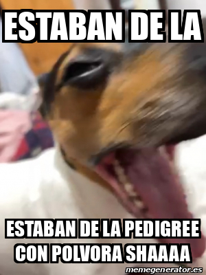 Meme Personalizado - EStaban de la estaban de la pedigree con polvora ...