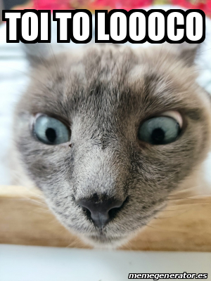 Meme Personalizado - Toi to loooco - 33050401