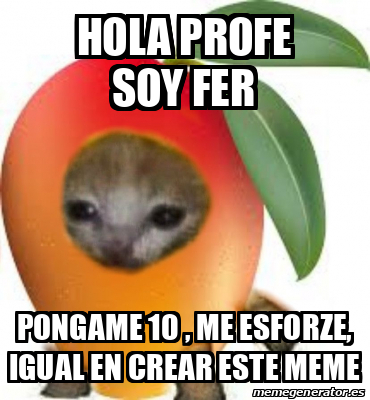 Meme Personalizado - hOLA PROFE SOY FER pONGAME 10 , ME ESFORZE, IGUAL ...