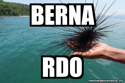 Meme Personalizado - Berna Rdo - 33054033