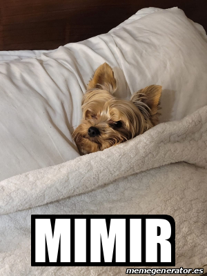 Meme Personalizado - Mimir - 33054607