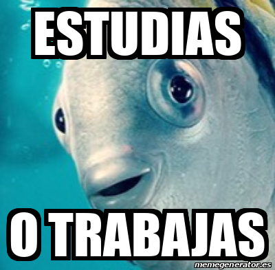 Meme Personalizado - ESTUDIAS O TRABAJAS - 33056216