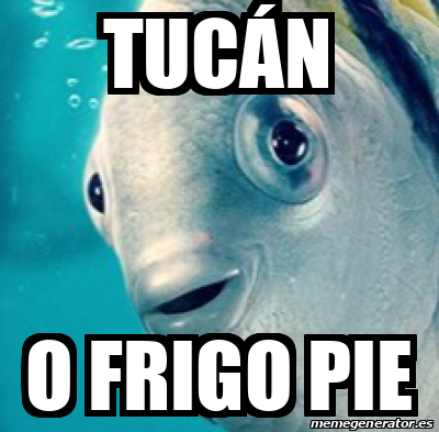 Meme Personalizado - TUCÁN O FRIGO PIE - 33056224