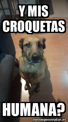 Meme Personalizado - y mis crOquetas humana? - 33057188