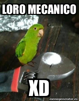 Meme Personalizado - Loro Mecanico xD - 33057816