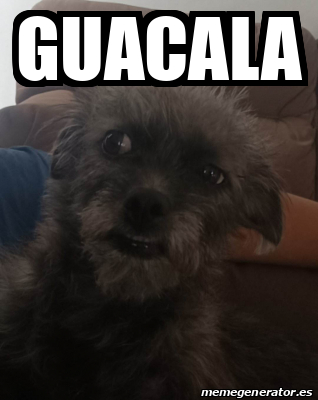 Meme Personalizado - Guacala - 33058512