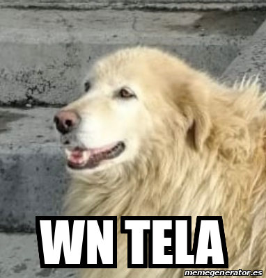 Meme Personalizado - wn tela - 33059325