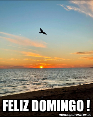 Meme Personalizado - Feliz domingo ! - 33502086