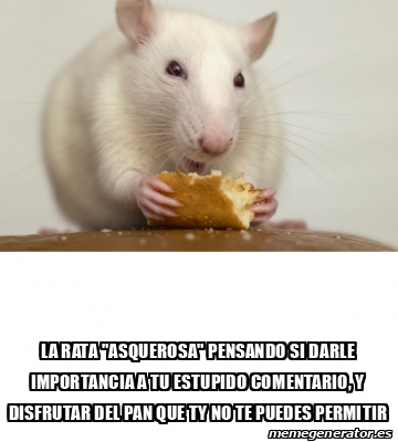 Meme Personalizado - la rata "asquerosa" pensando si darle importancia ...