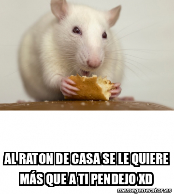 Meme Personalizado - al raton de casa se le quiere más que a ti pendejo ...