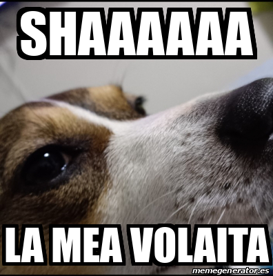 Meme Personalizado - Shaaaaaa La mea volaita - 33503833
