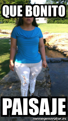 Meme Personalizado - Que bonito Paisaje - 33505121
