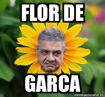 Meme Personalizado - FLOR DE GARCA - 33508108