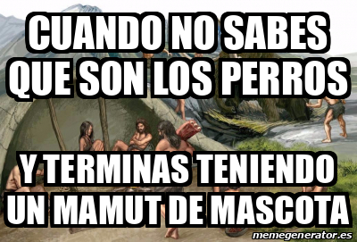 Meme Personalizado - cuando no sabes que son los perros y terminas ...